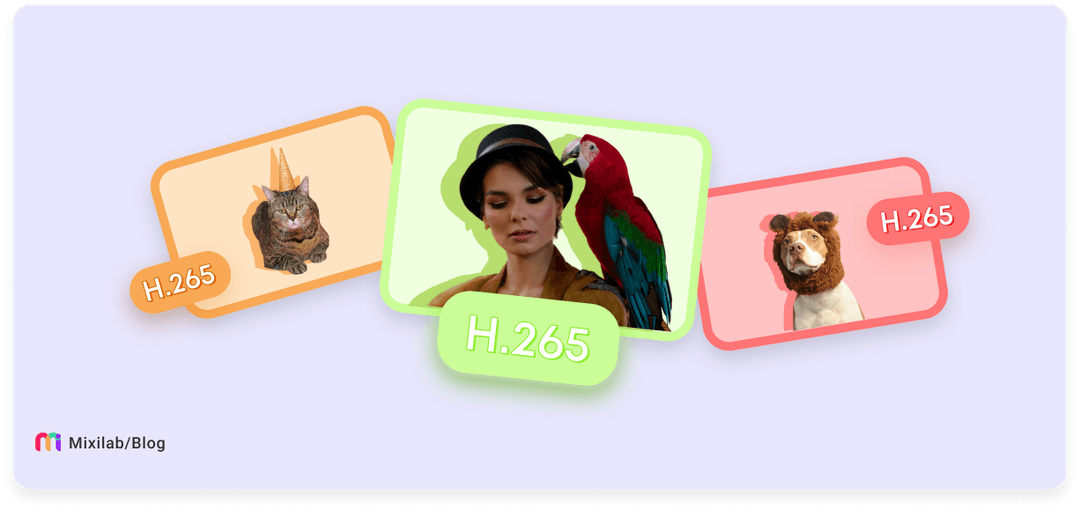 HEVC 101: A Beginner’s Guide to High-Efficiency Video Coding - Mixilab Blog