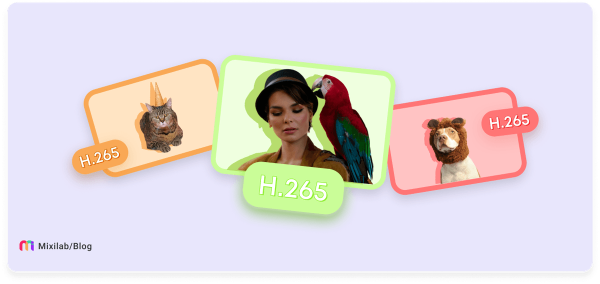 HEVC 101: A Beginner’s Guide to High-Efficiency Video Coding - Mixilab Blog