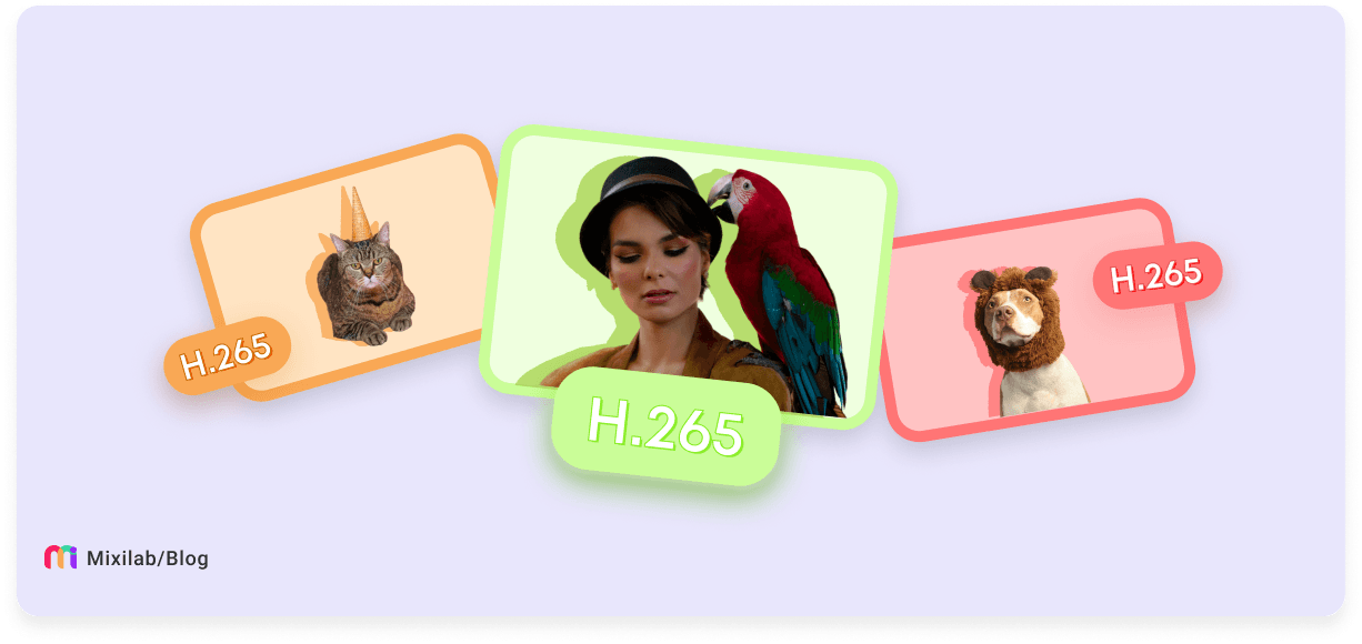 HEVC 101: A Beginner’s Guide to High-Efficiency Video Coding - Mixilab Blog