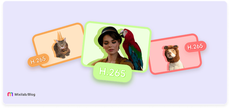 HEVC 101: A Beginner’s Guide to High-Efficiency Video Coding - Mixilab Blog
