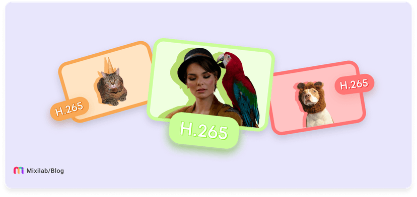 HEVC 101: A Beginner’s Guide to High-Efficiency Video Coding - Mixilab Blog